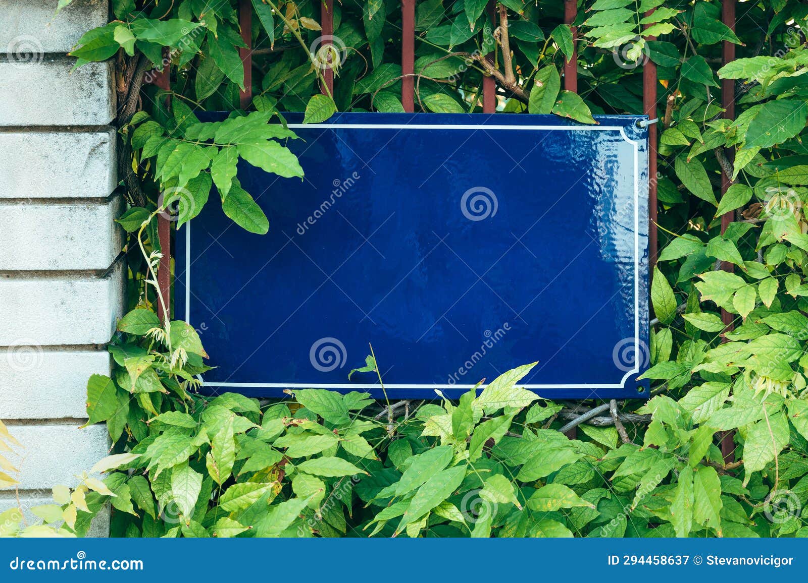 Blue Street Name Signs at James Tarvin blog