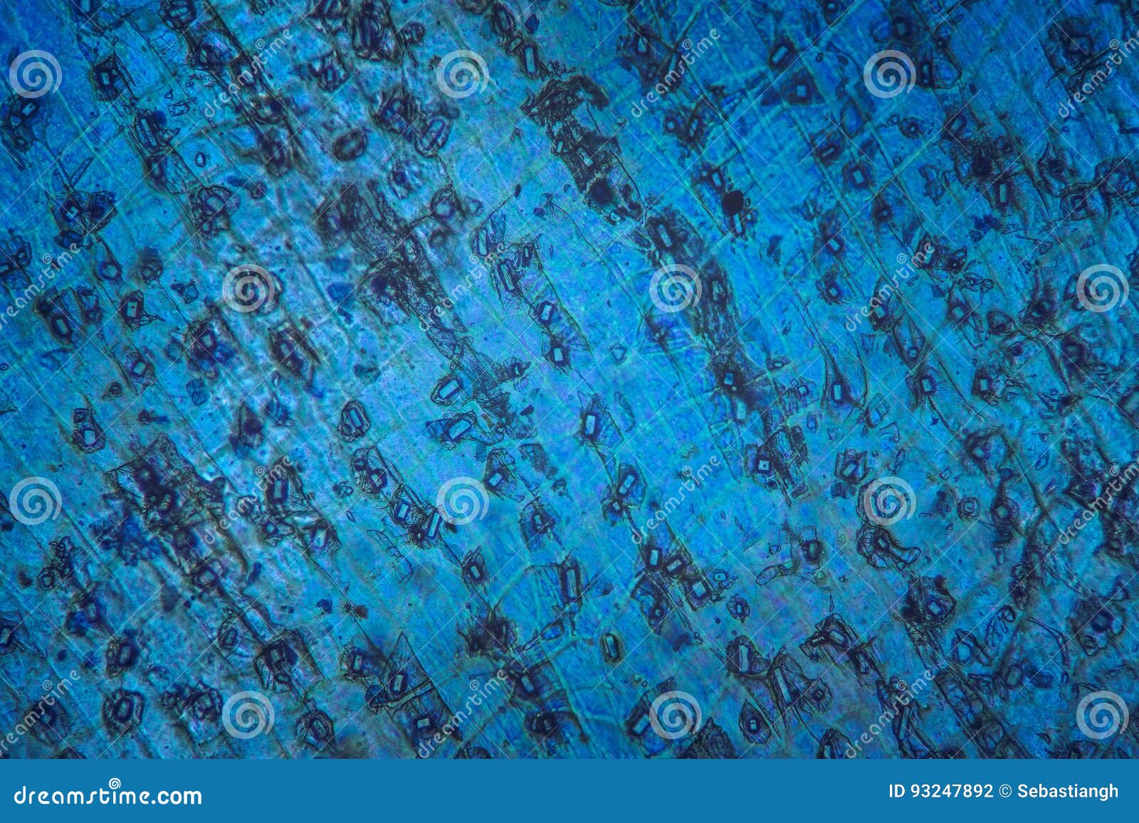 Blue Microscopic Background Stock Photo - Image of chemical, molecule ...