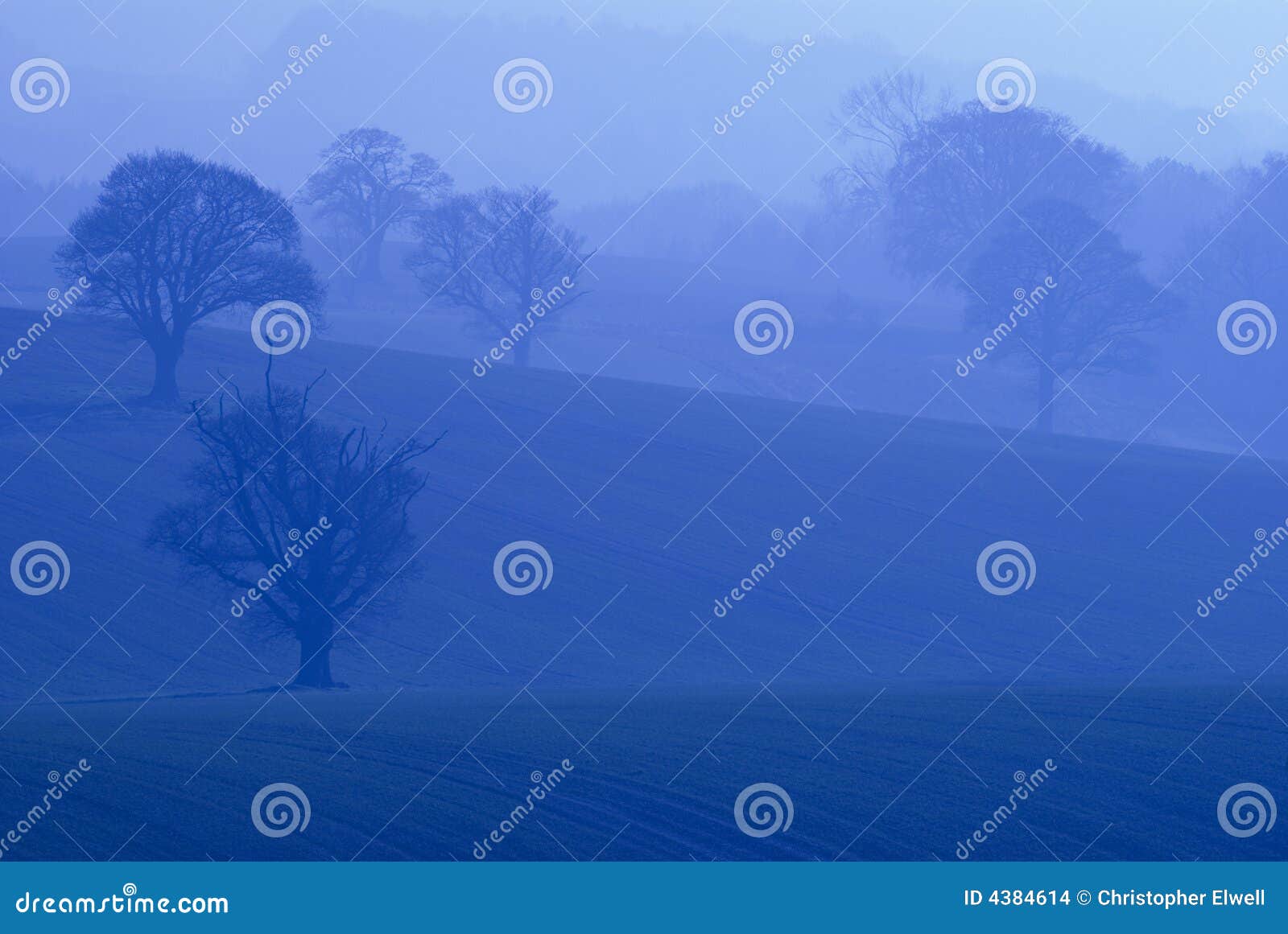 Blue Mist stock photo. Image of farmland, blue, cool, countryside - 4384614