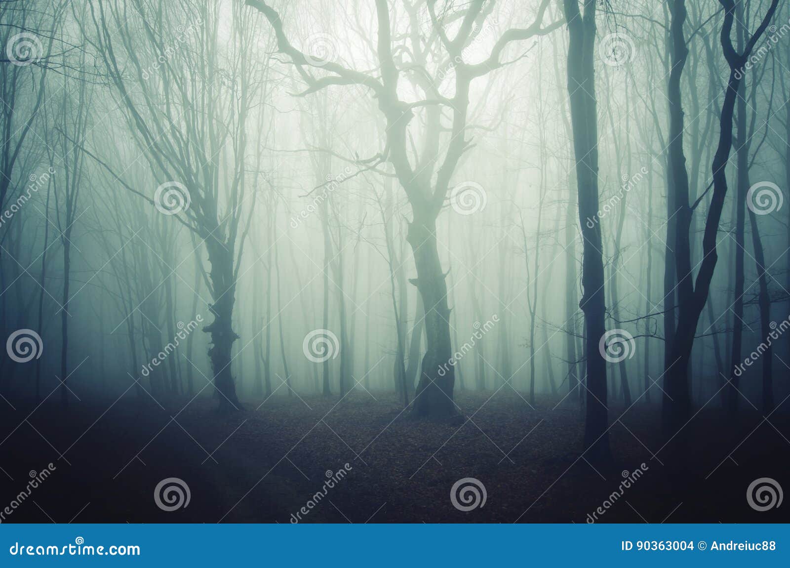 Blue Mist in Dark Mysterious Forest Stock Photo - Image of environment ...