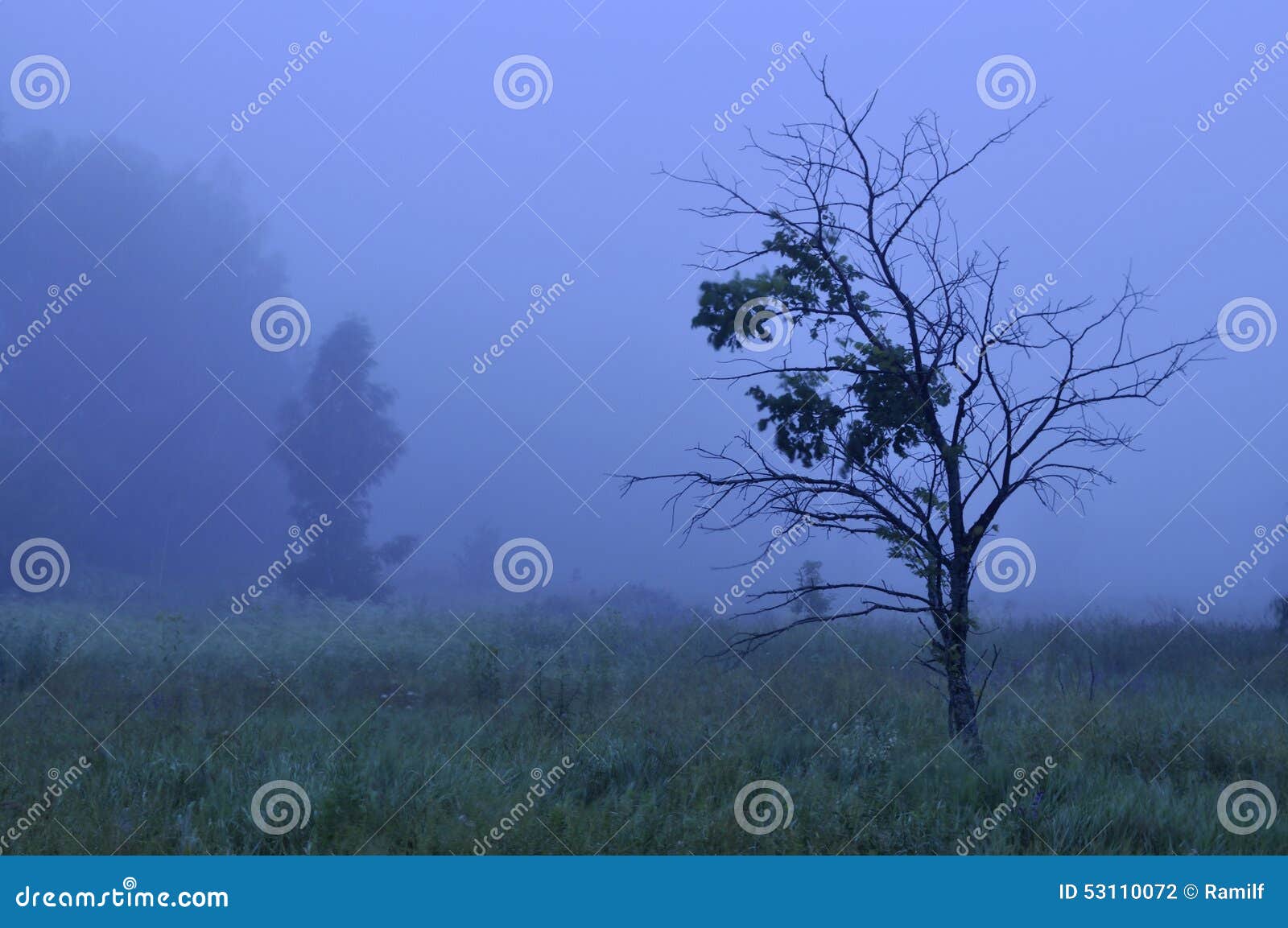 Blue mist at dawn stock photo. Image of autumn, nature - 53110072