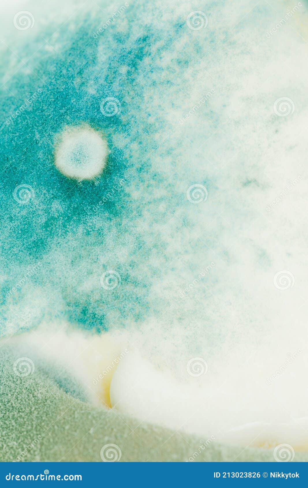 Blue mold background stock photo. Image of abstract - 213023826
