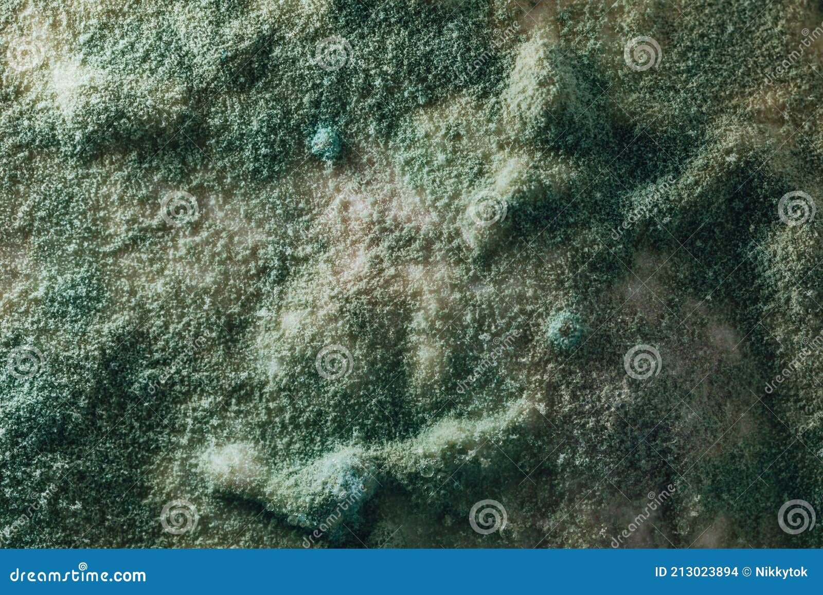 Blue mold background stock photo. Image of closeup, fluffy - 213023894