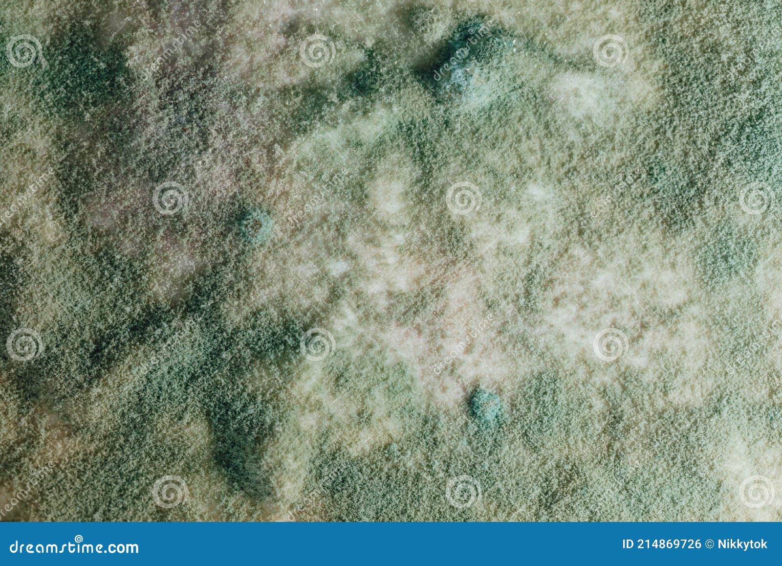 Blue mold background stock photo. Image of background - 214869726
