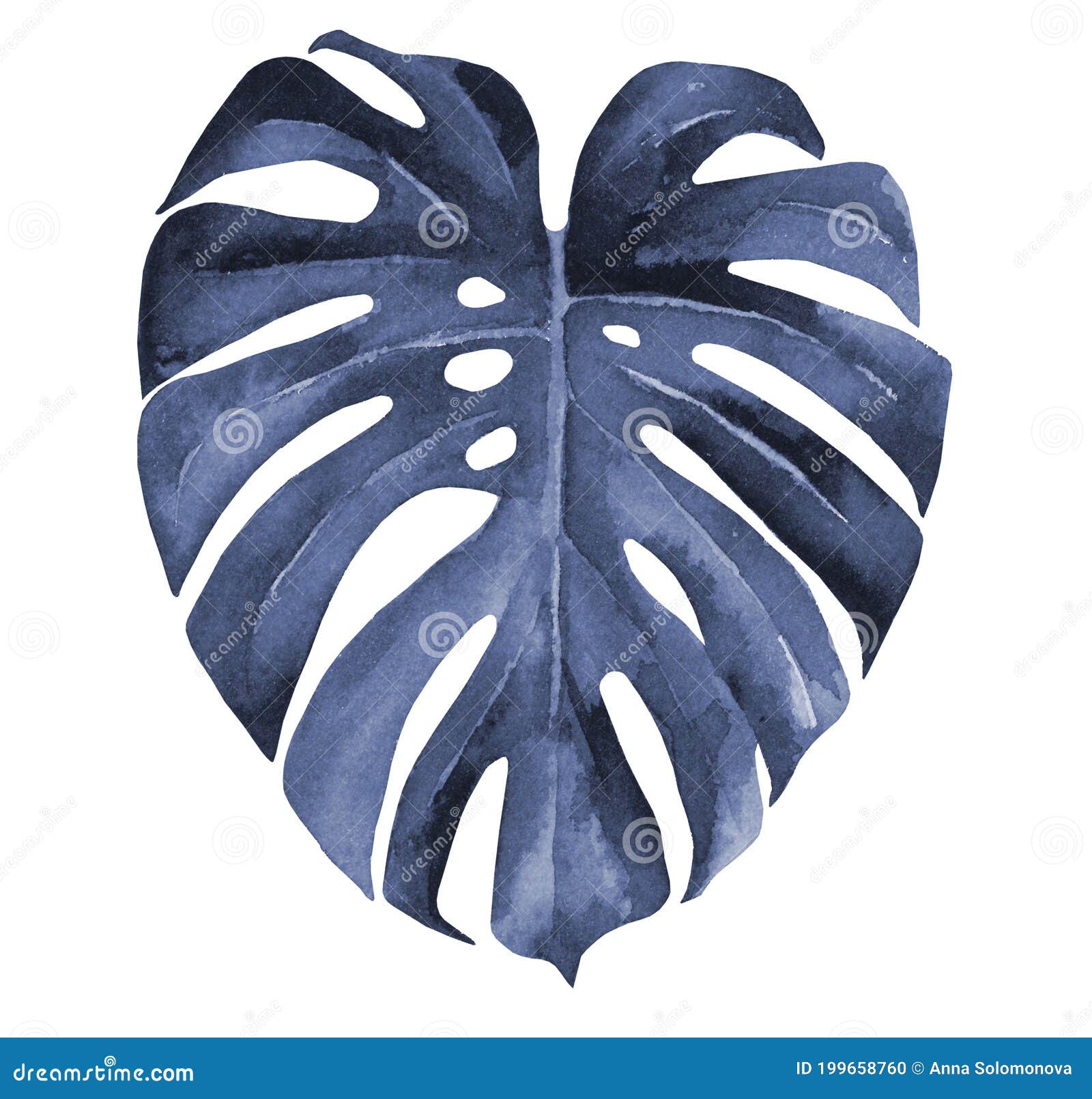 Blue Monstera Leaf. Watercolour Illustration on White Background. Stock ...