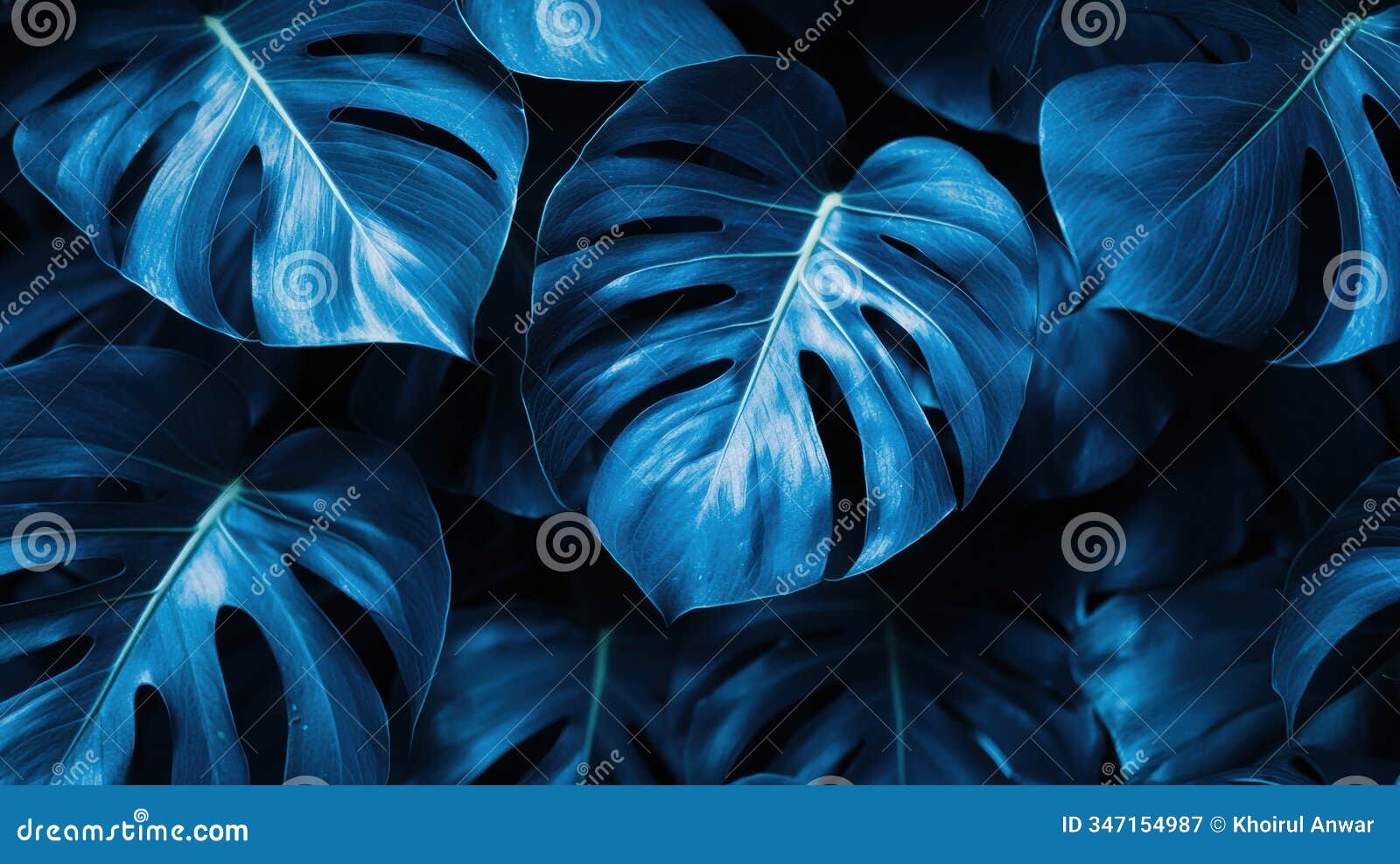 Blue Monstera Leaf On White Background. Summer Tropical Pattern. Stock ...
