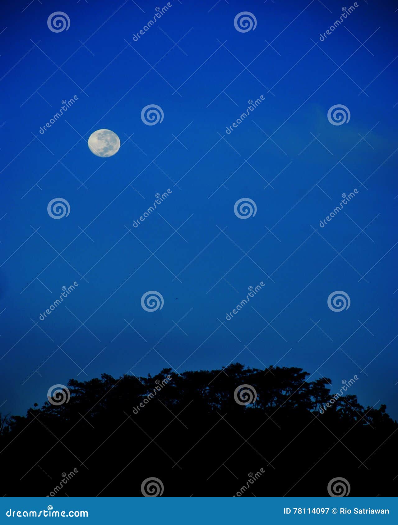 Blue Moon in night scene stock image. Image of holidays - 78114097