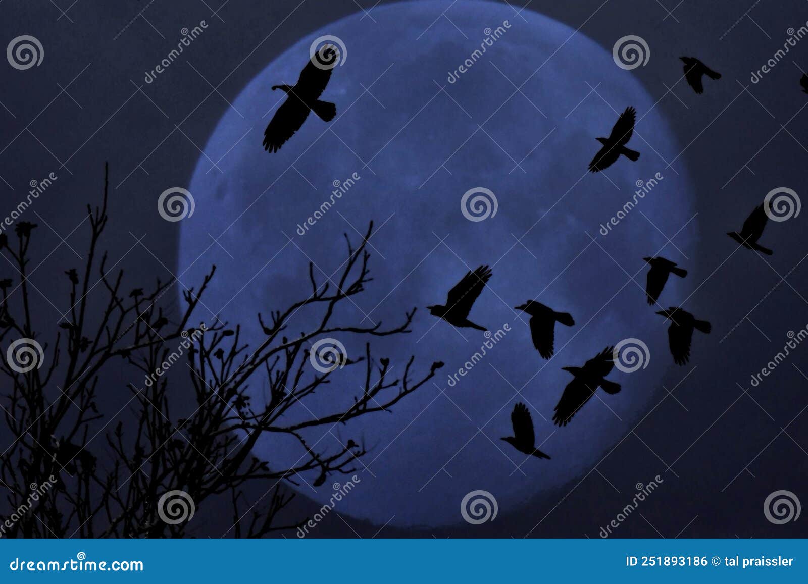 Blue moon and ravens stock photo. Image of moon, font - 251893186