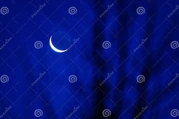 Blue moon scenery stock image. Image of blurred, tree - 35614439