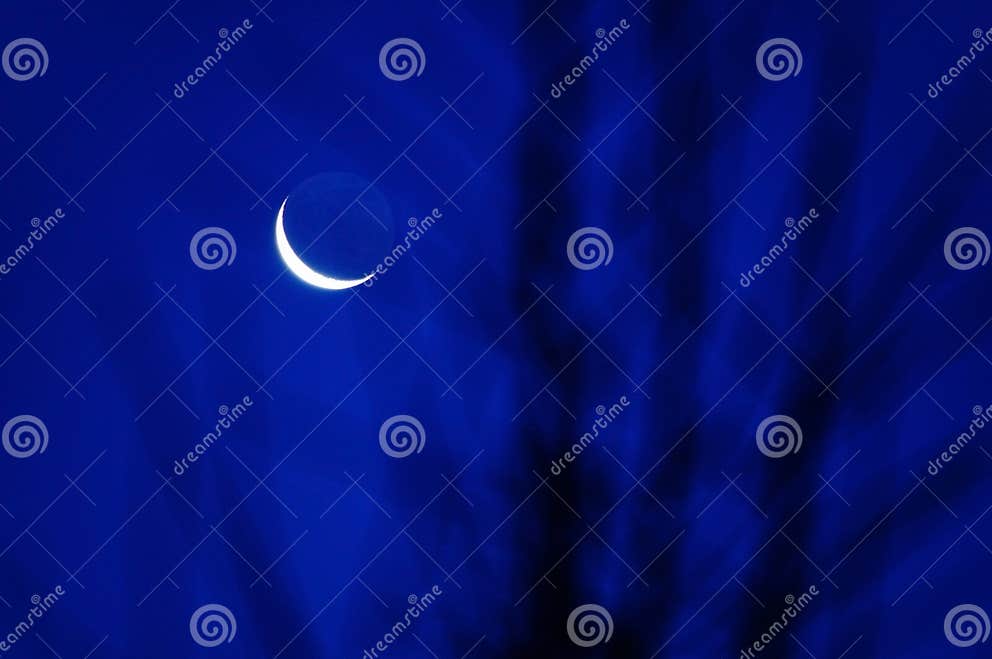 Blue moon scenery stock image. Image of blurred, tree - 35614439
