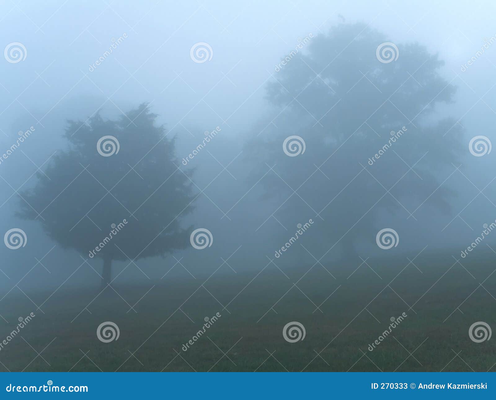 Blue Morning Mist stock image. Image of hazy, peaceful - 270333
