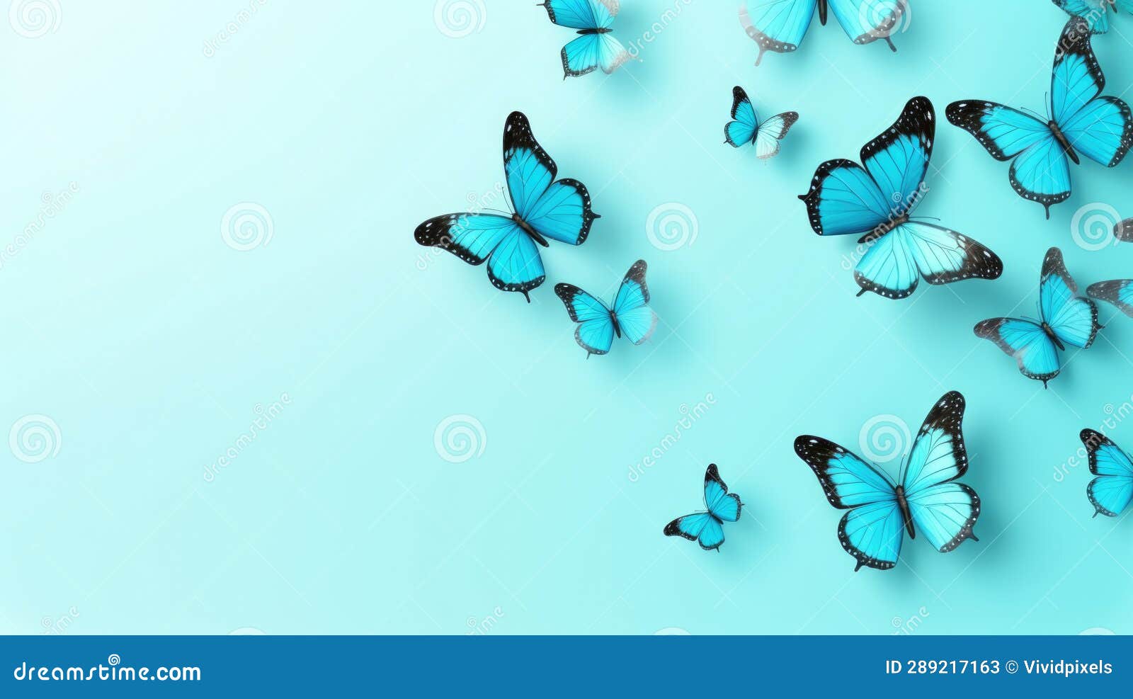 Blue Morpho Butterflies on a Light Blue Background Stock Illustration ...