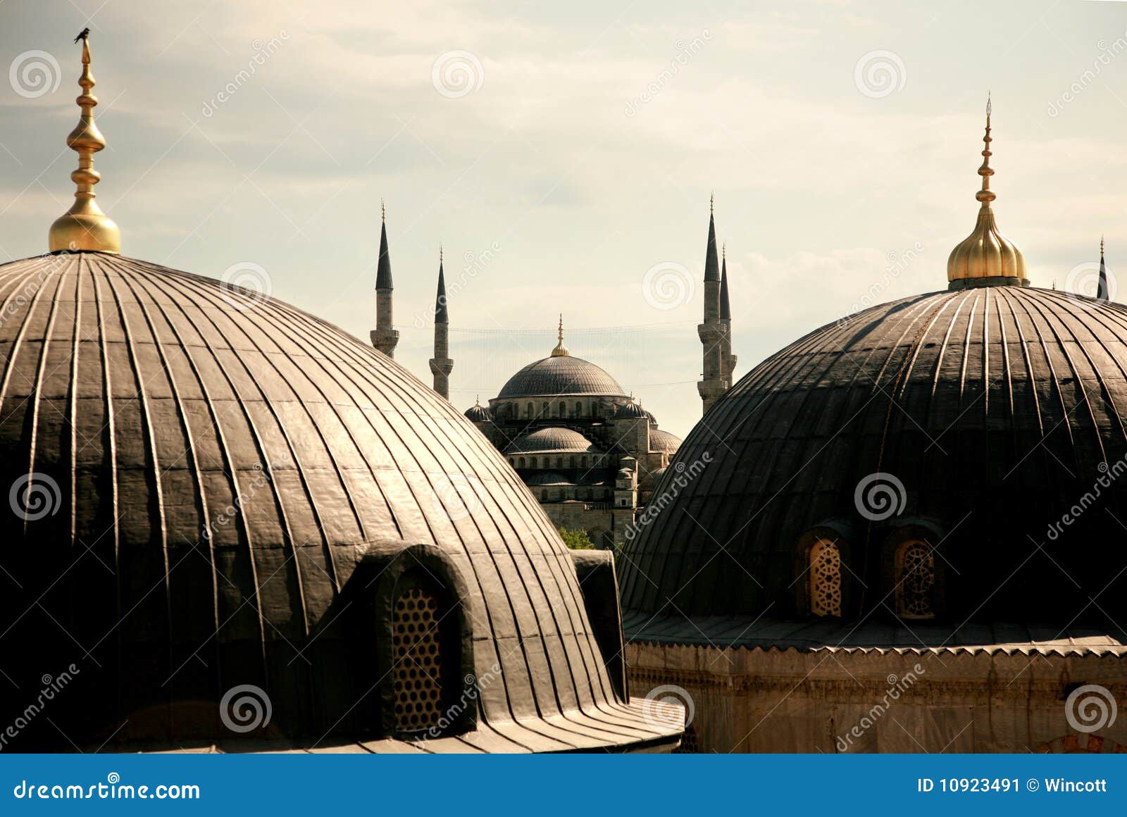 Blue mosque stock image. Image of islam, ottoman, building - 10923491