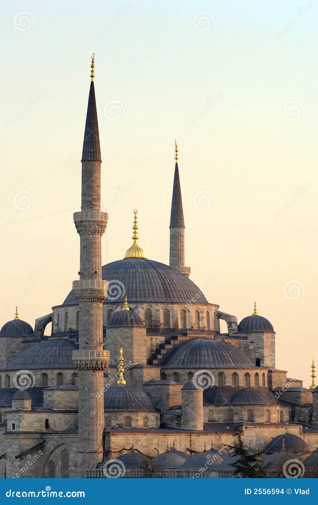 Blue Mosque stock photo. Image of religious, turkey, islam - 2556594