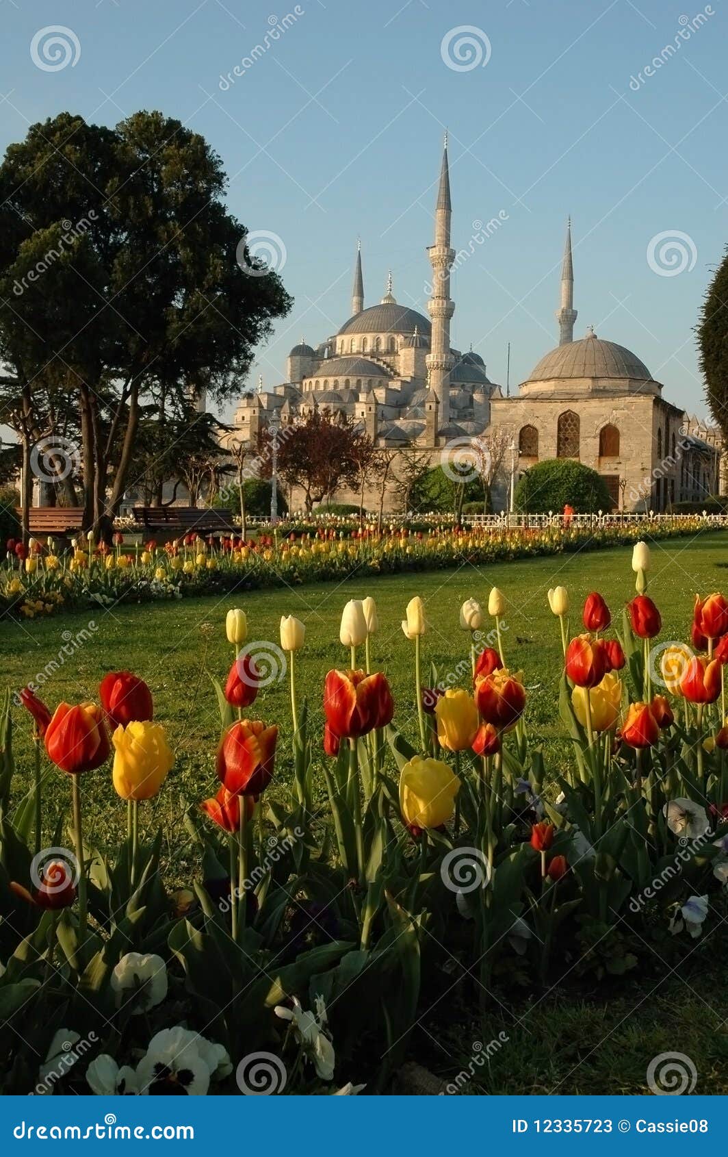 756 Tulip Mosque Stock Photos - Free & Royalty-Free Stock Photos from ...