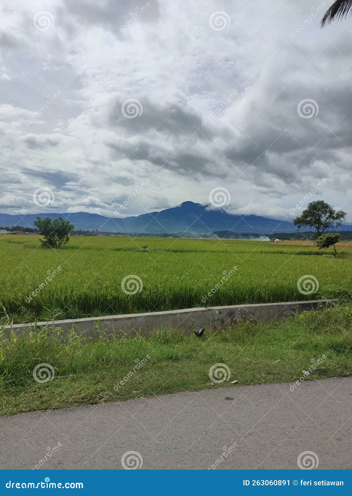 Talang Indonesia Stock Photos - Free & Royalty-Free Stock Photos from ...