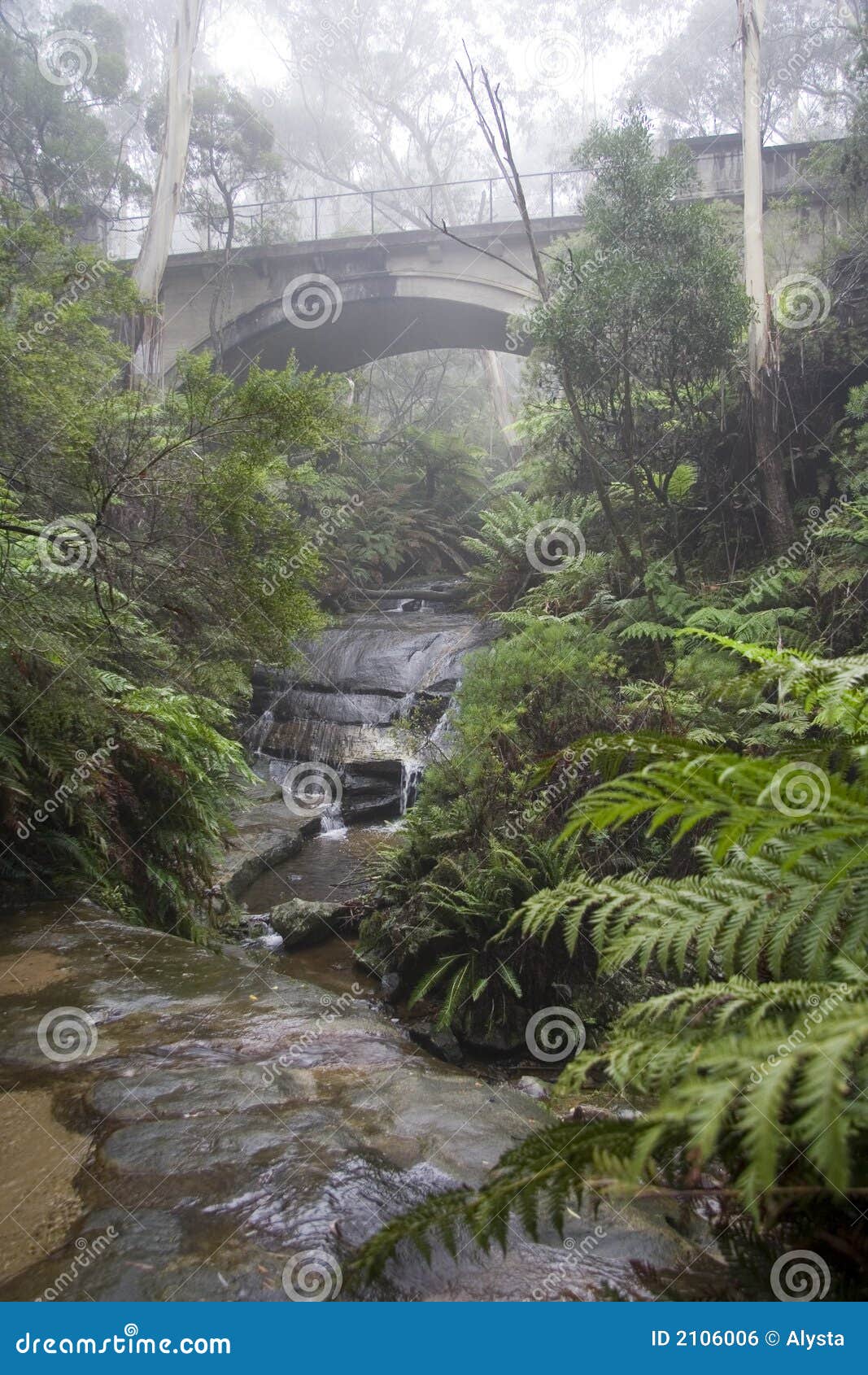 Blue Mountains Bridge in Mist Stock Photo - Image of mountains ...