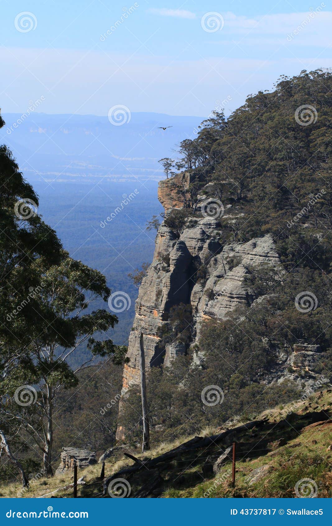 Blue Mountains Cliff Face stock image. Image of rocky - 43737817