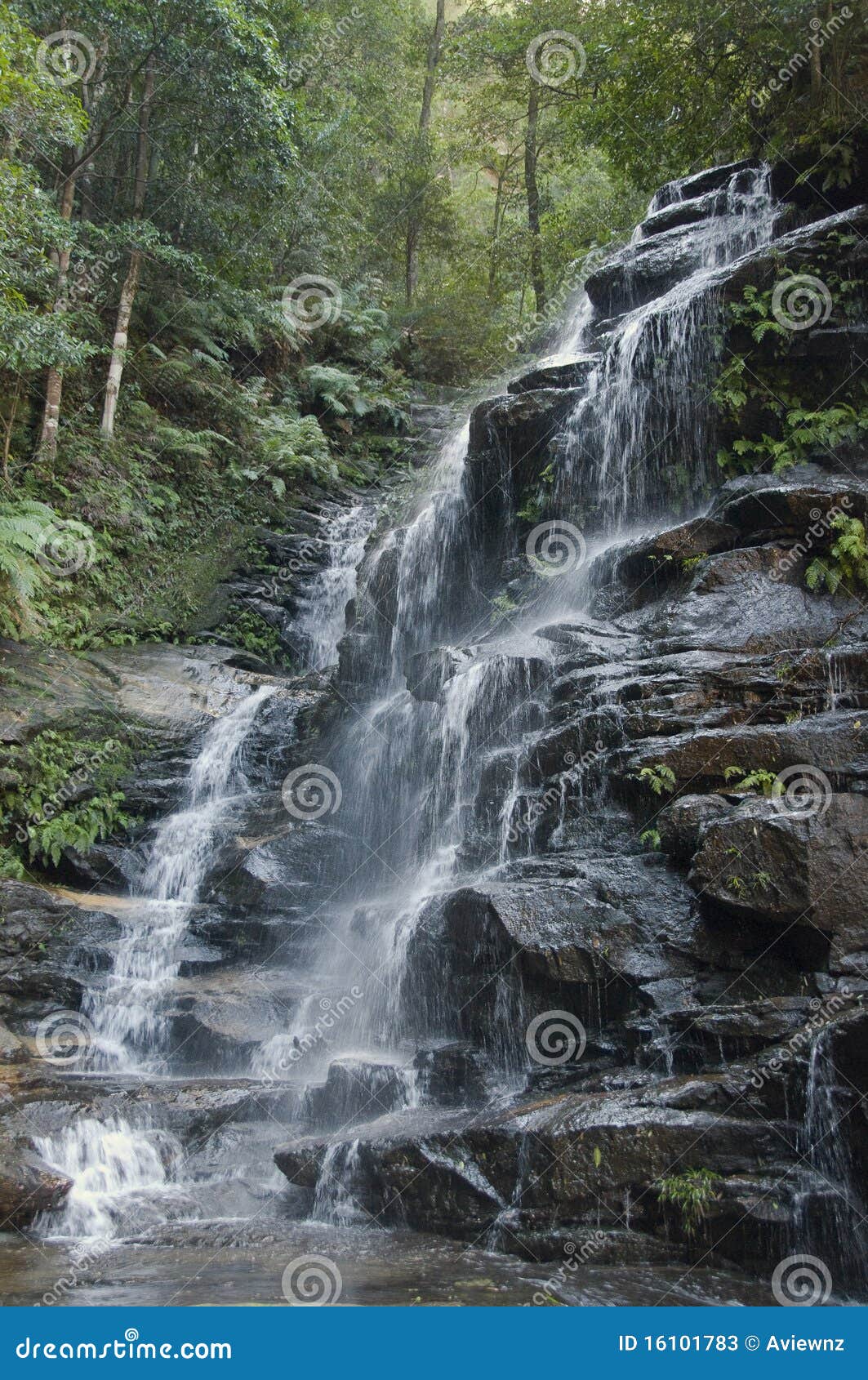 Blue Mountains waterfall stock image. Image of tramping - 16101783