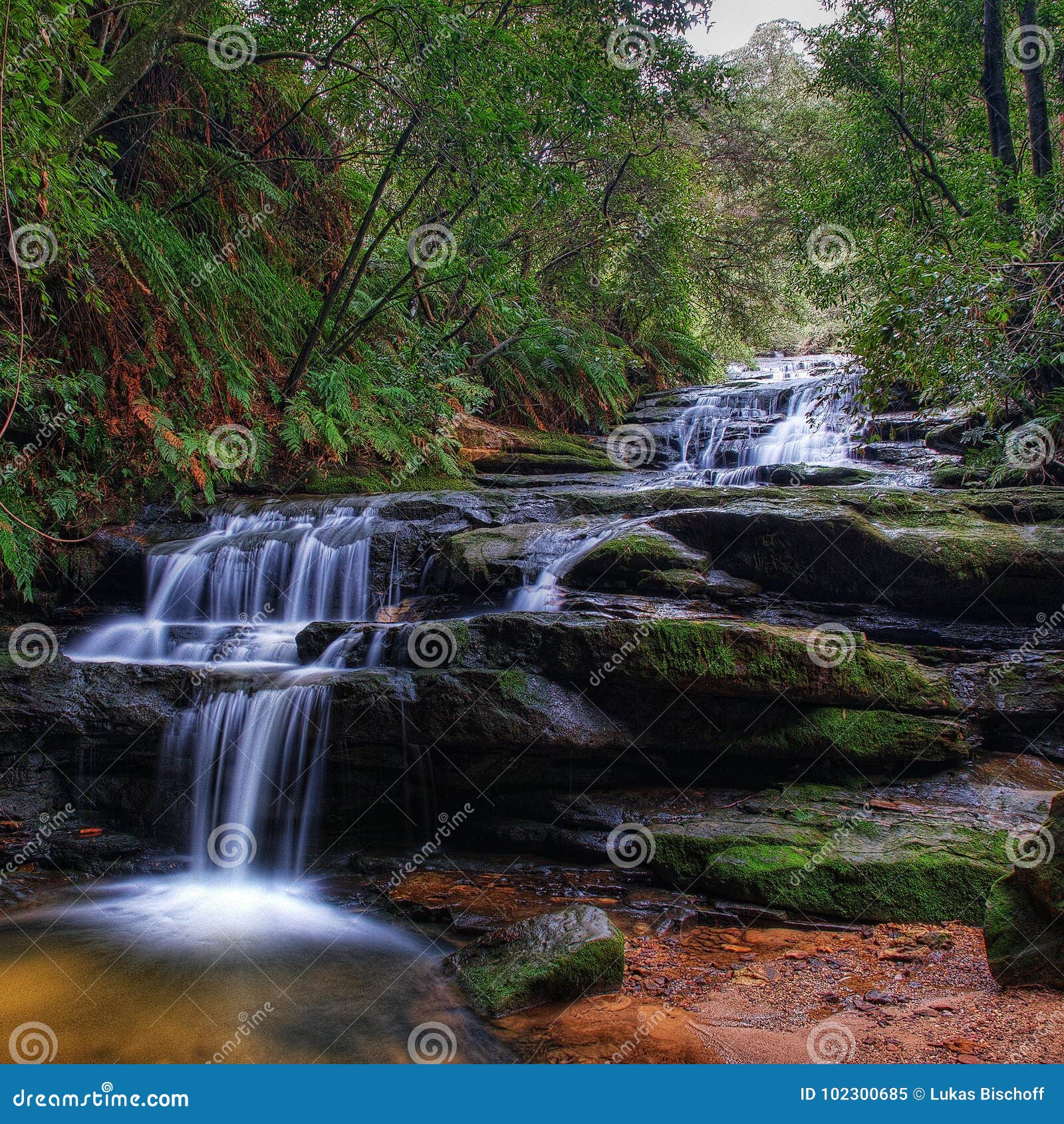 Blue Mountains Waterfall, Australia Stock Image - Image of scenic ...