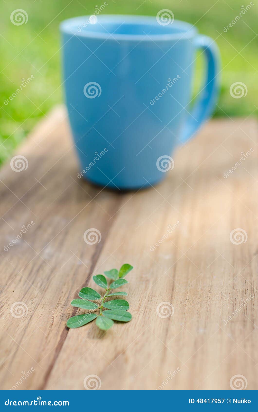 Blue Mug on Wooden Board with Green Grass Stock Image - Image of green ...