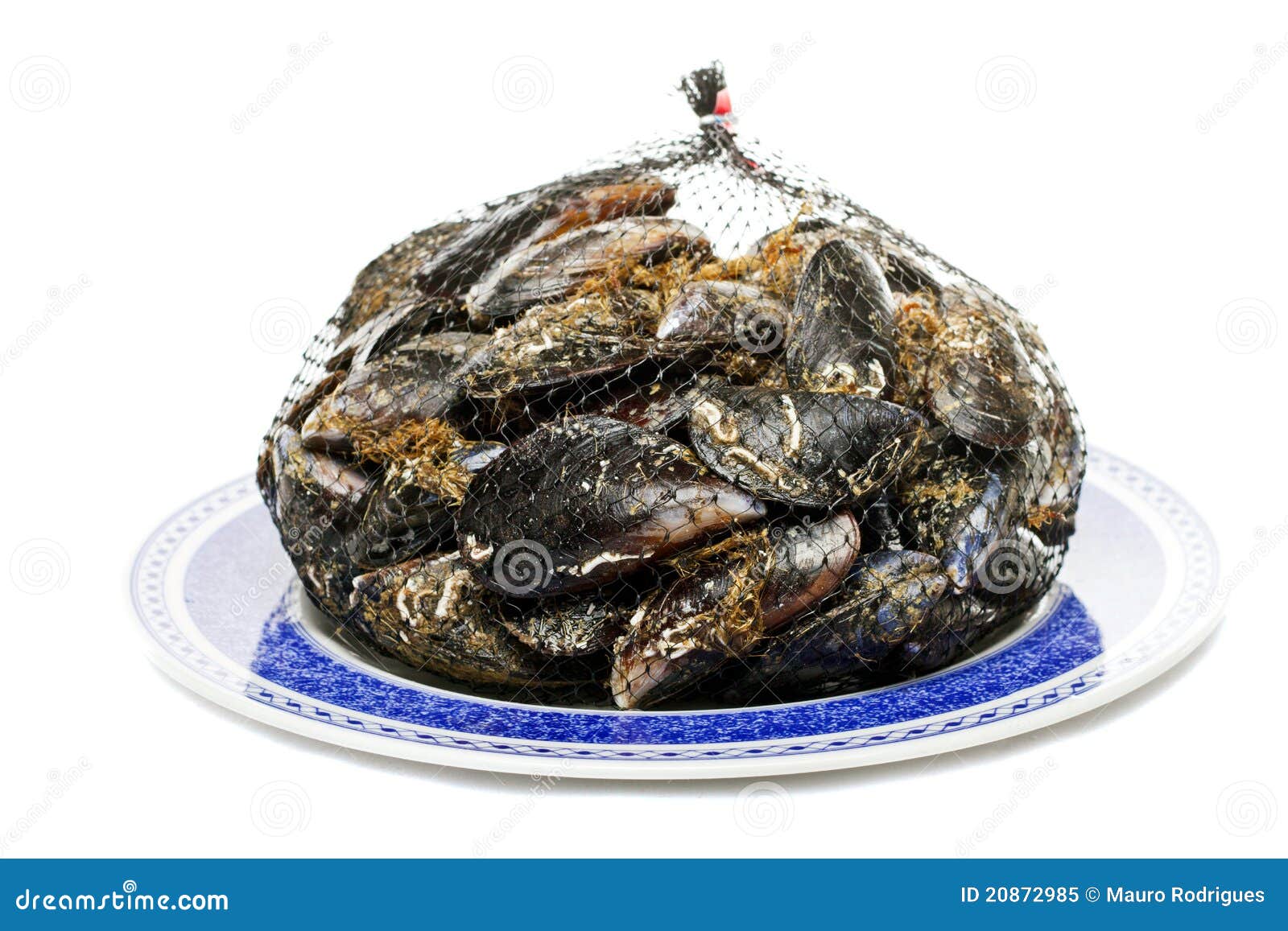 Blue mussel bivalve stock image. Image of mytilus, plate - 20872985