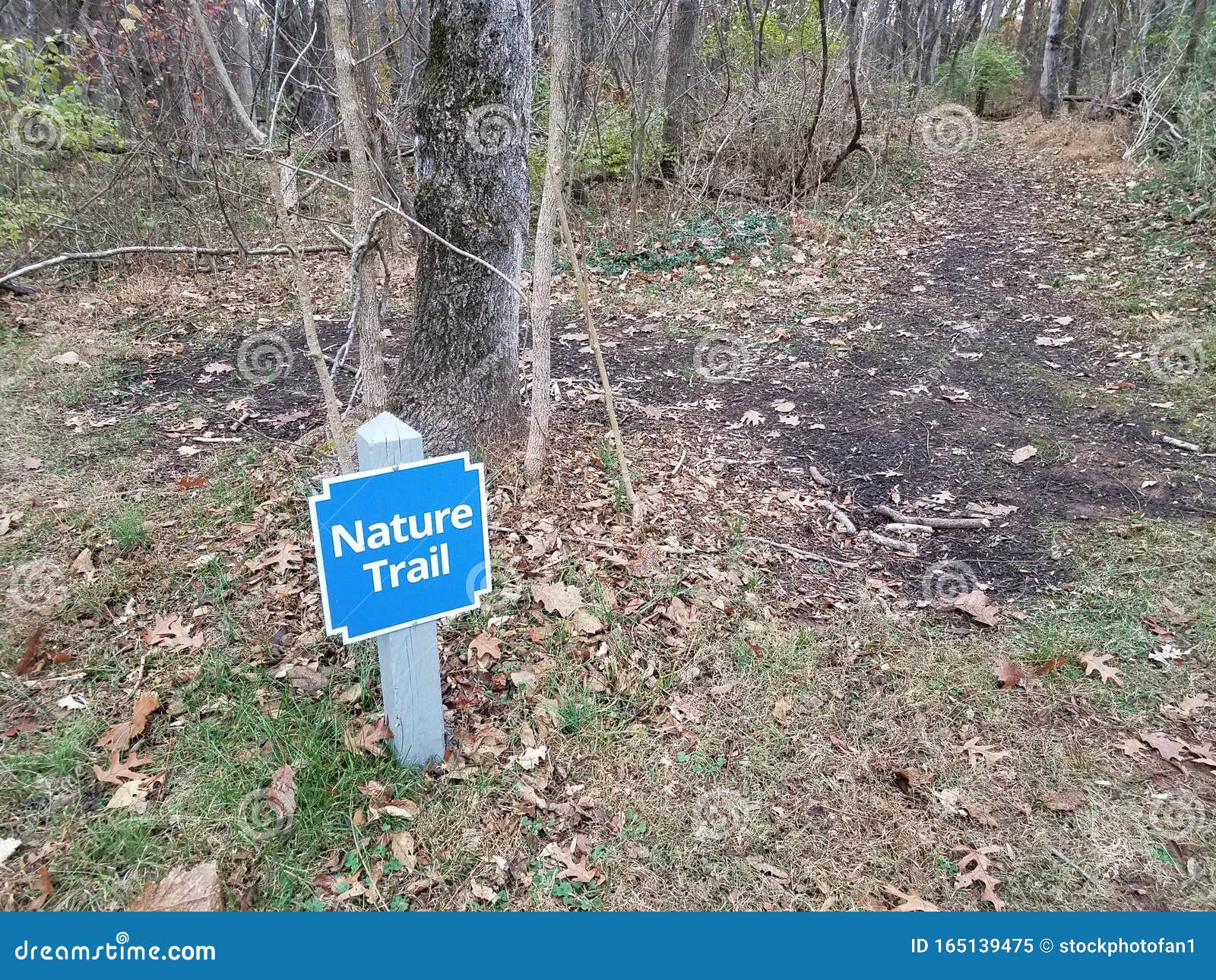 Blue Nature Trail Sign with Trail or Path and Trees Stock Image - Image ...