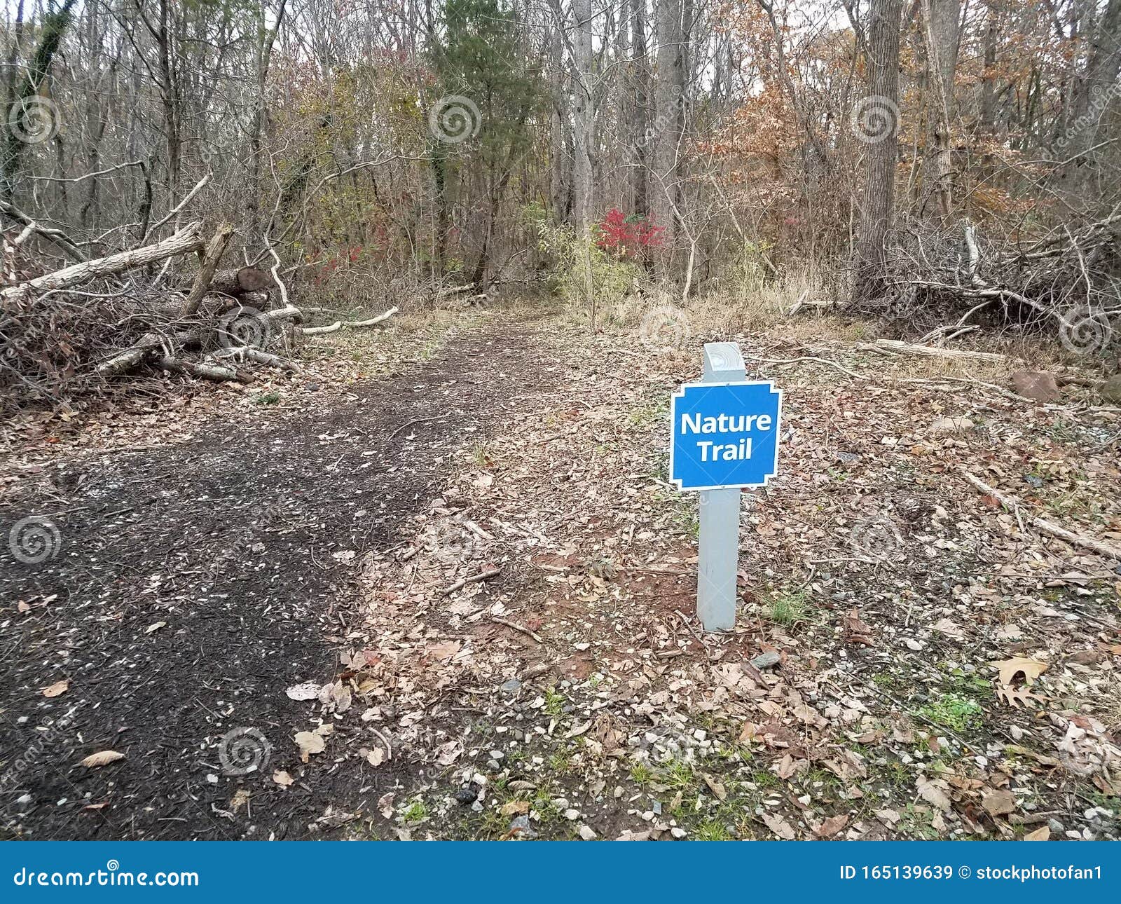 Blue Nature Trail Sign with Trail or Path and Trees Stock Image - Image ...