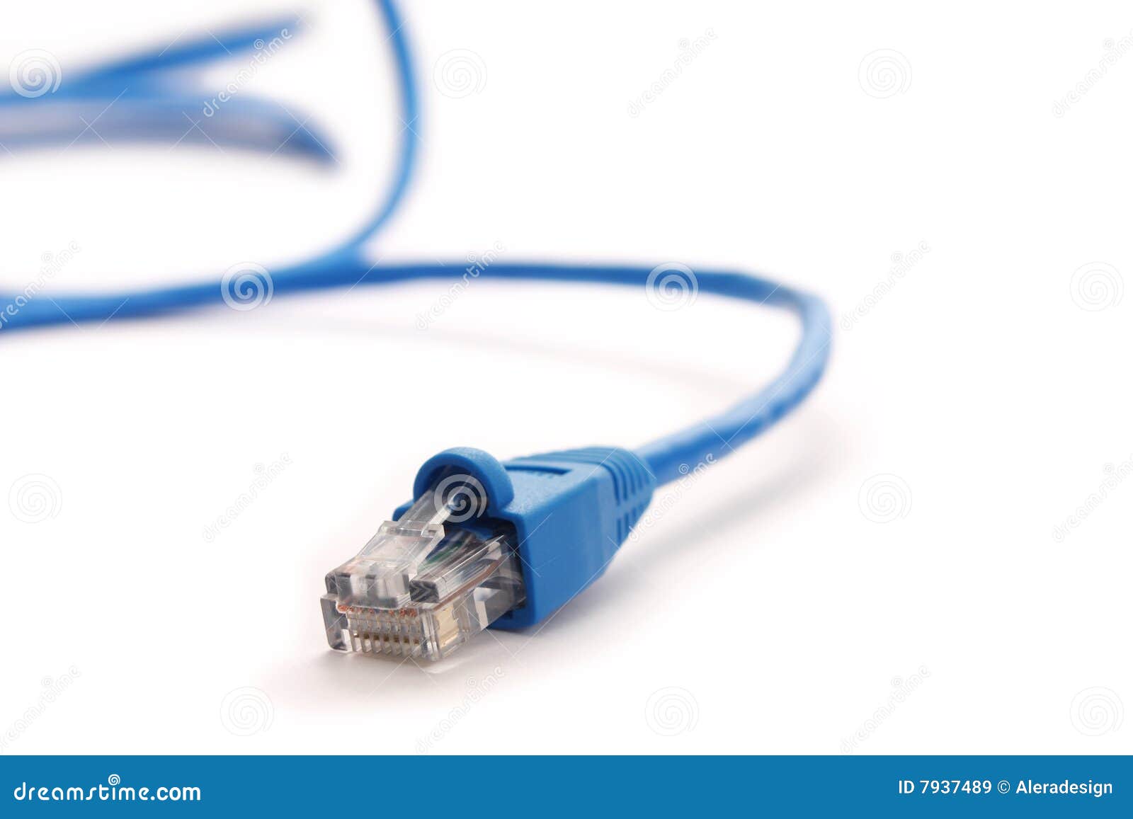 Blue network cable stock image. Image of communicate, fiber - 7937489