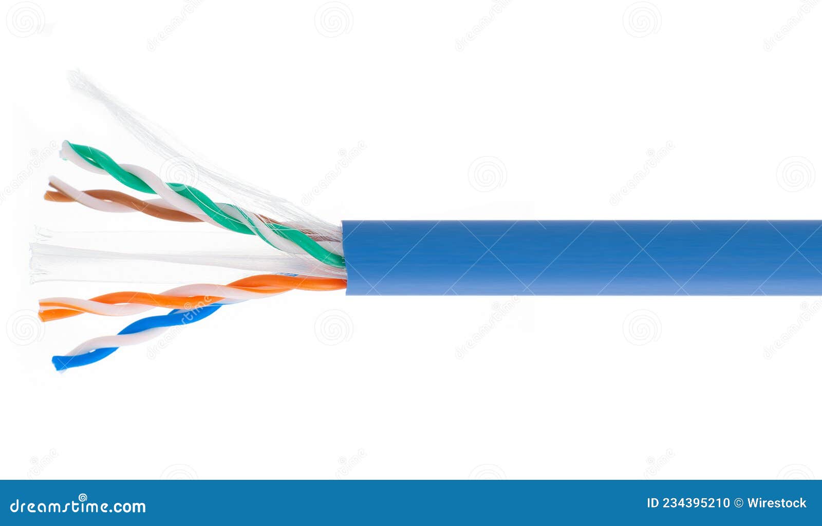 Blue Network Cable, Cross-section. Cable Construction. Ethernet Cabel ...