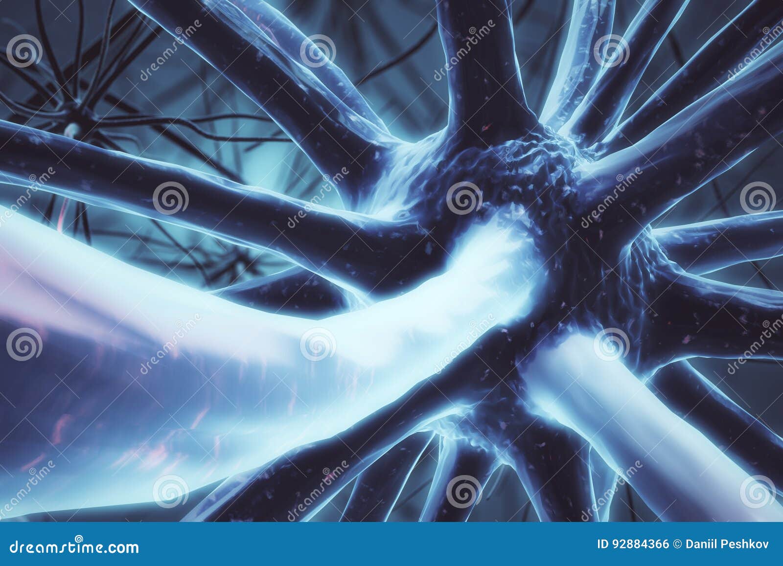 Blue Neuron Cell. Membrane And The Nucleus. Scientific Cartoon ...