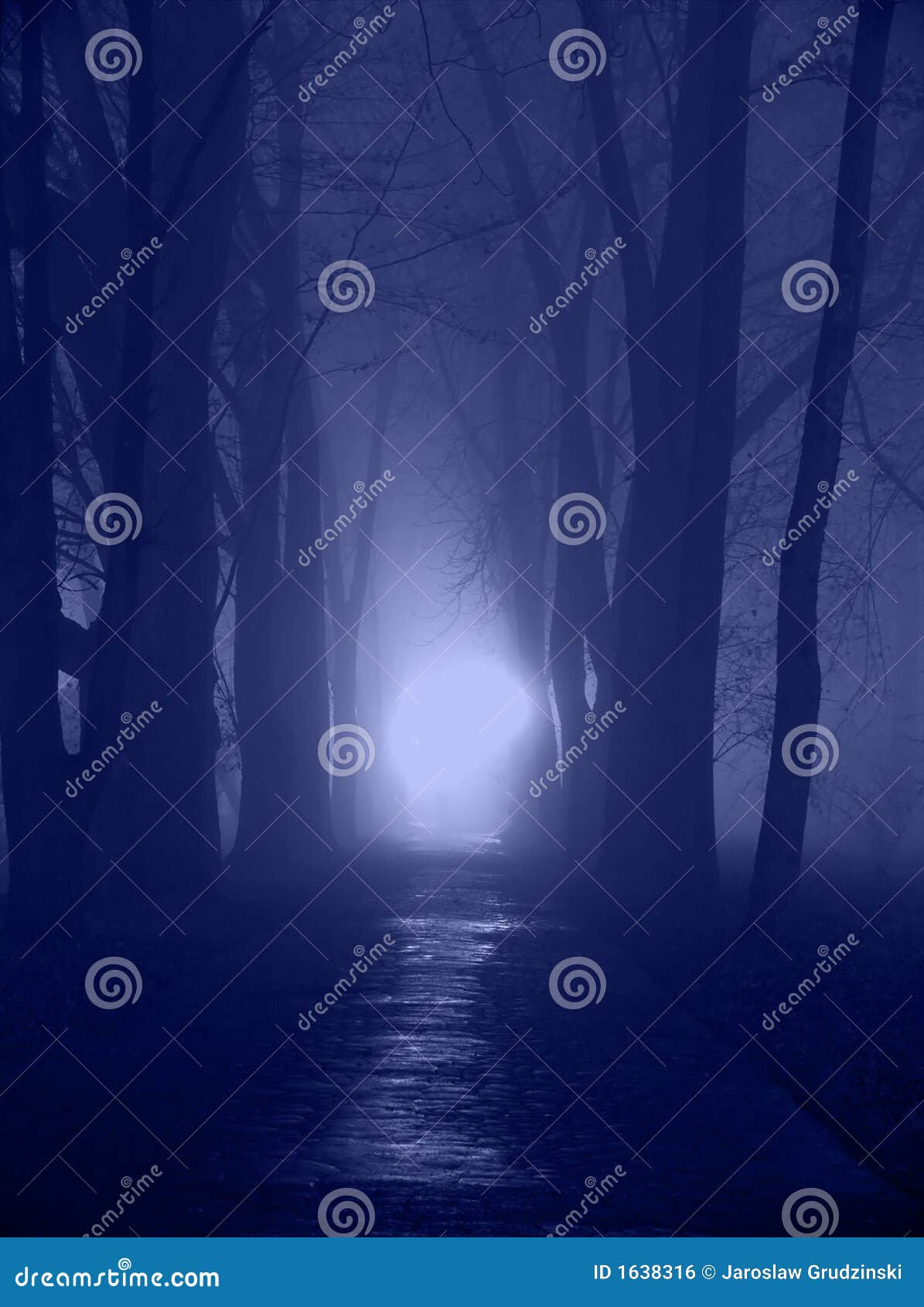 Blue night stock photo. Image of branch, cold, lane, foggy - 1638316