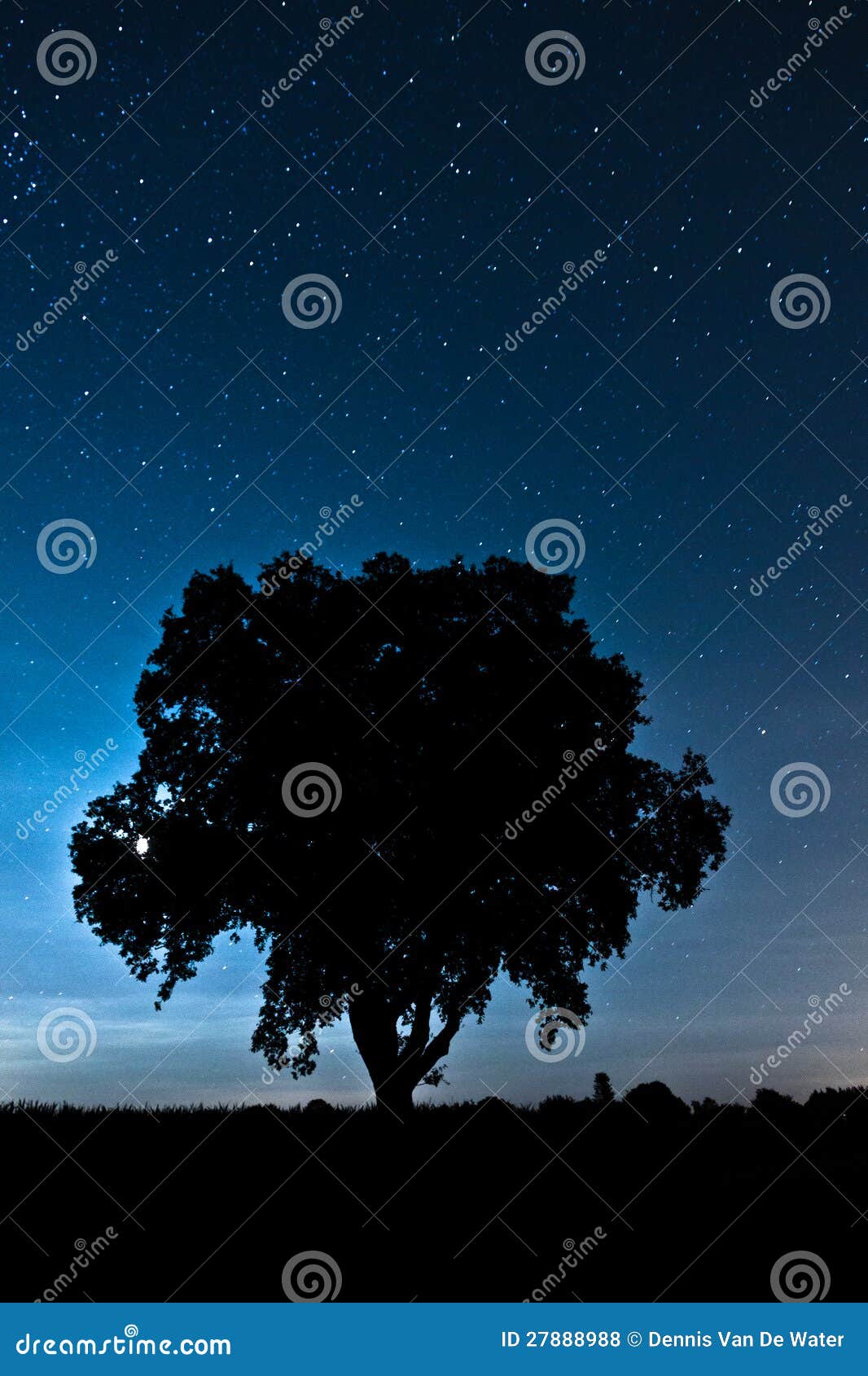 Blue night tree stock photo. Image of meteorite, blue - 27888988