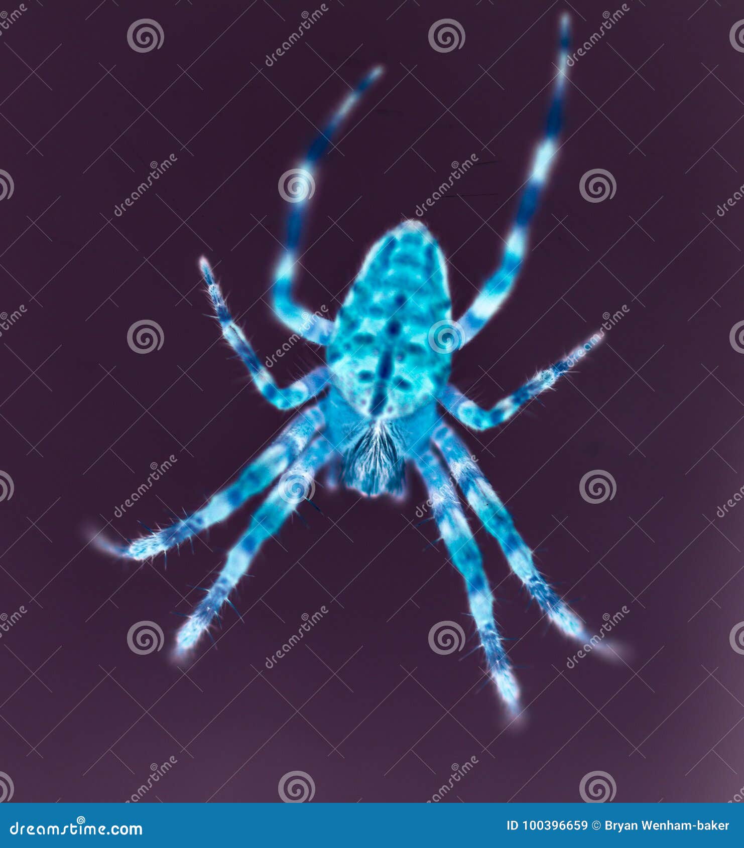Blue nightmare stock image. Image of background, frighten - 100396659