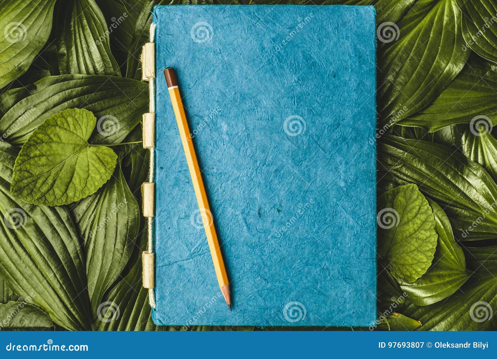 Notebook Paper with the Texture, Green Leaf Stock Image - Image of ...