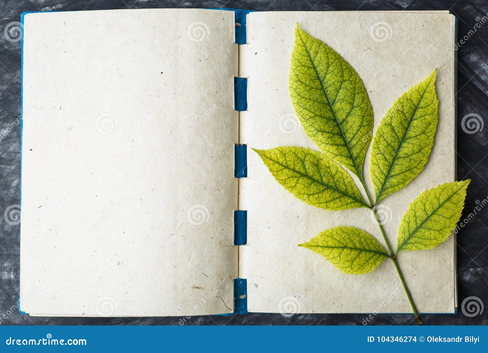Notebook Paper with the Texture, Yellow Leaf Stock Photo - Image of ...