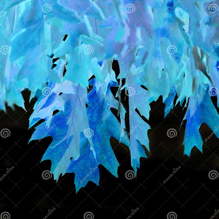 Blue Oak Leaves stock photo. Image of tree, abstract - 29231812