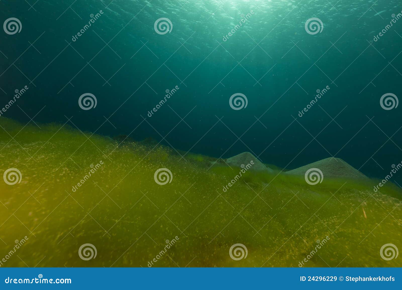 Blue Ocean, Sandy Bottom and Algae in the Red Sea. Stock Image - Image ...