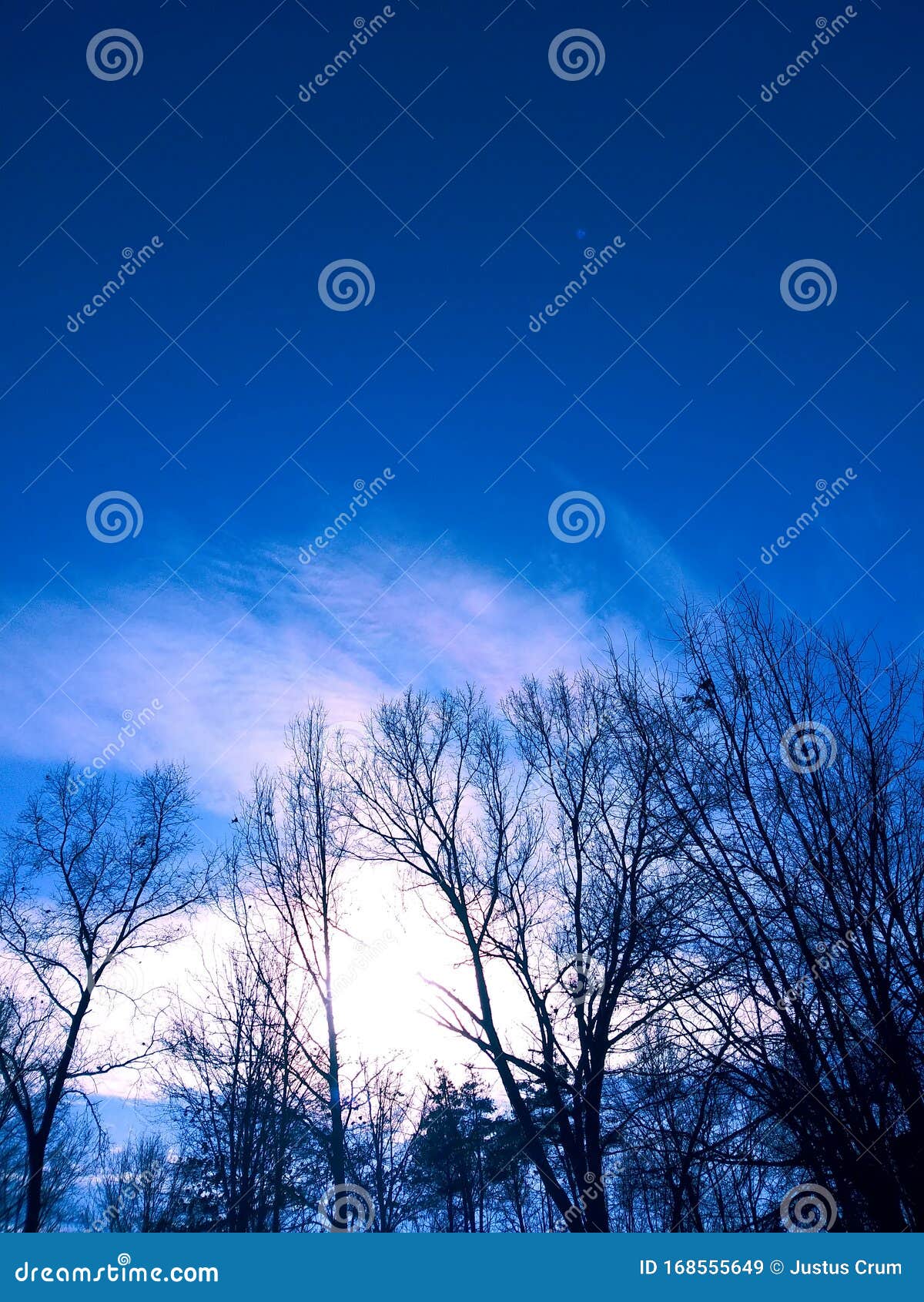 Blue ocean Sky stock image. Image of tree, ocean, blue - 168555649