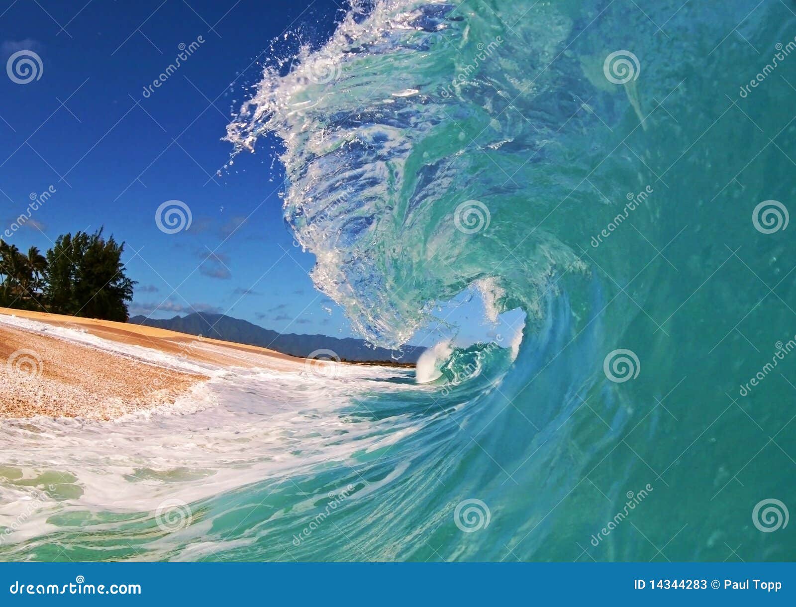 Blue Beauty Wave Beach