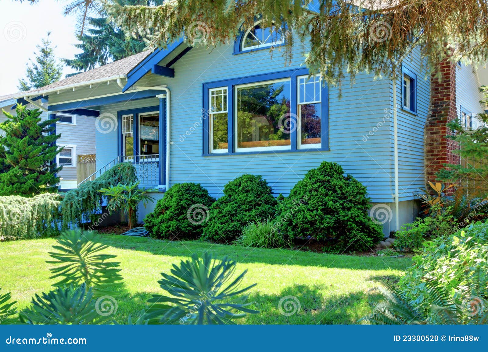 Blue Old Craftsman Style House Behind the Tree Stock Photo - Image of ...