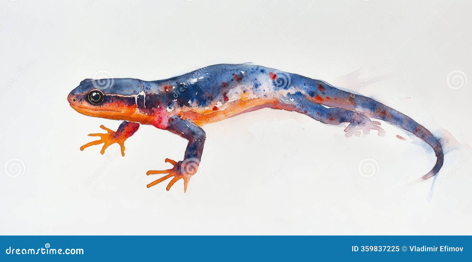 A Blue and Orange Lizard is Painted on a White Background Stock Image ...