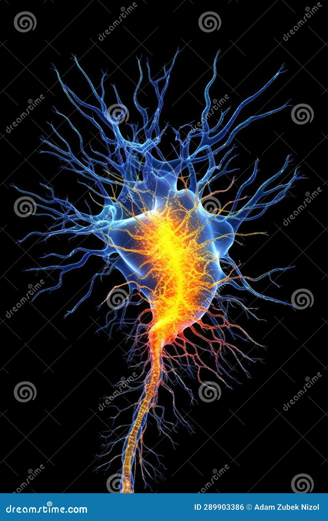 A blue and orange neuron stock illustration. Illustration of created ...