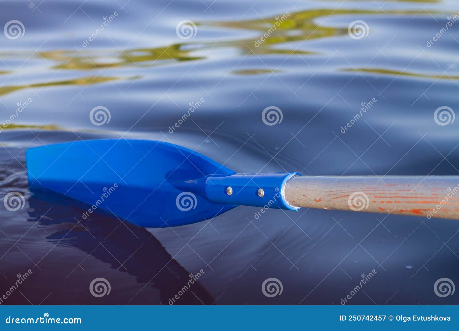 The Blue Paddle from the Boat Was Rowing the Water Stock Image - Image ...