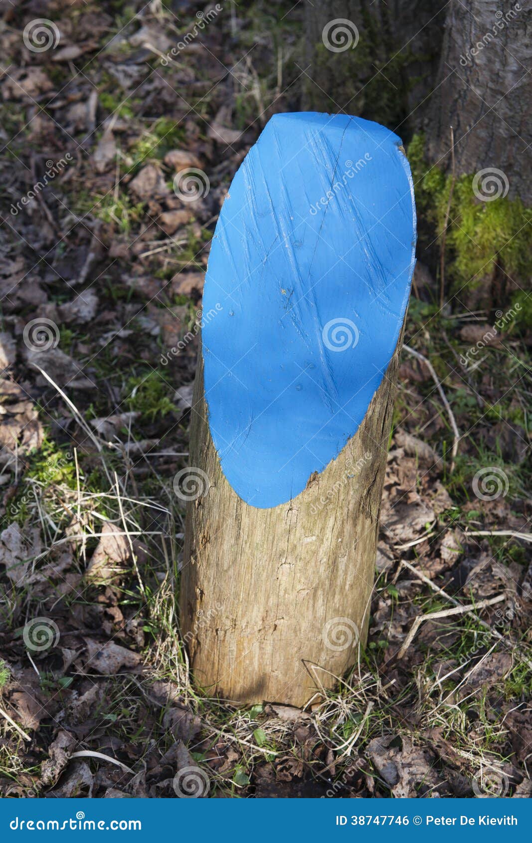 Blue painted pole stock photo. Image of tree, sign, blue - 38747746