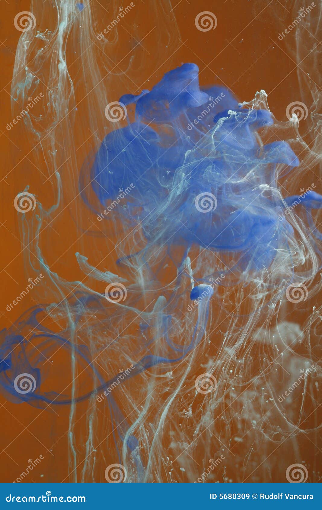 Blue paints dissolving stock image. Image of colourful - 5680309