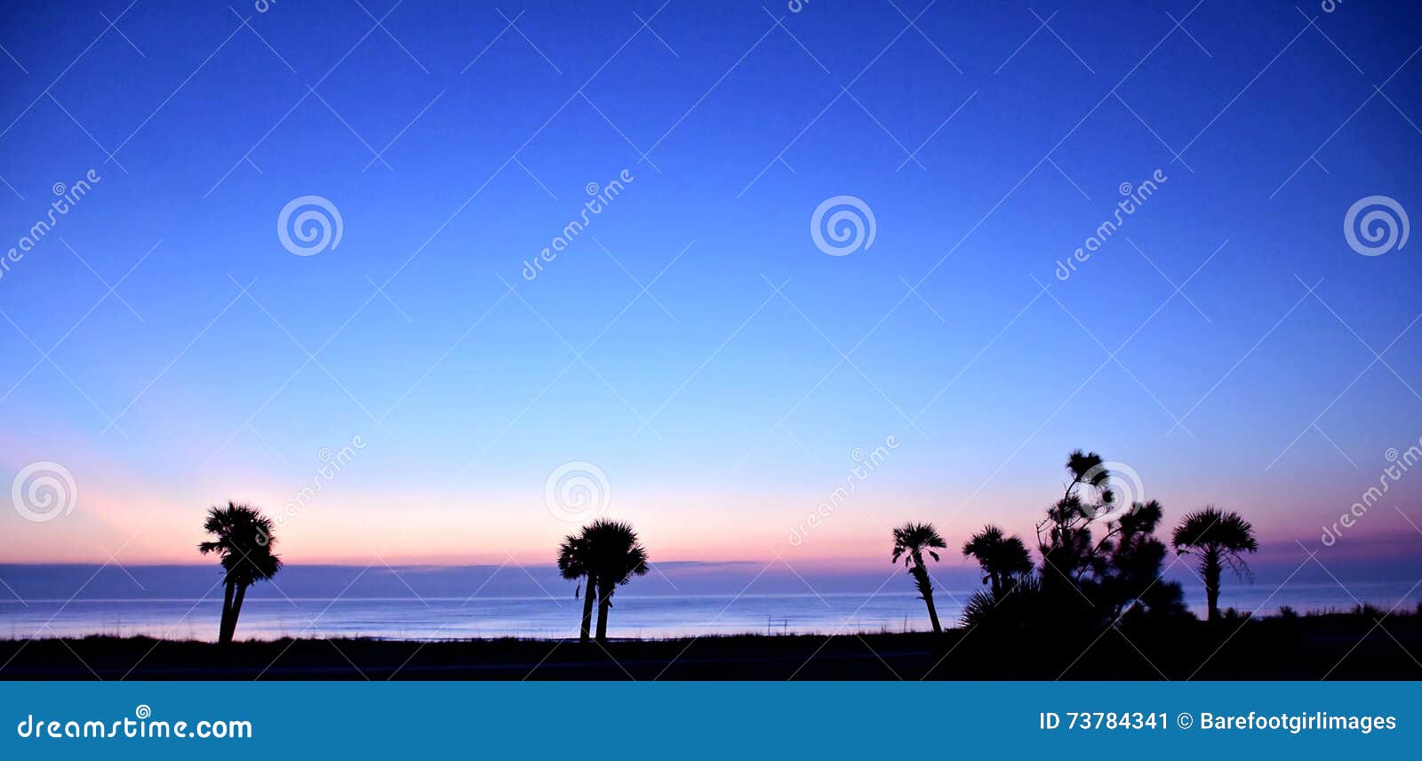 Blue Palm Dawn stock image. Image of seascape, georgia - 73784341