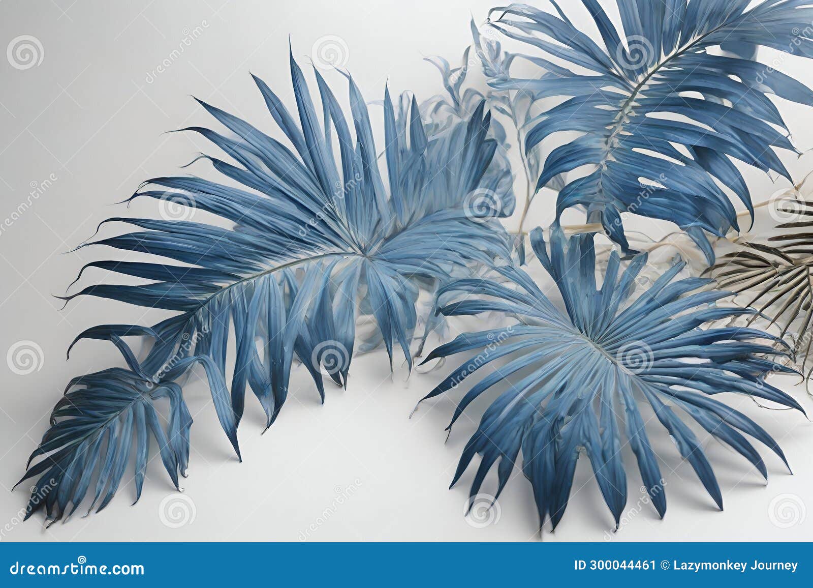 Blue Palm Leaves on a White Background Stock Illustration ...