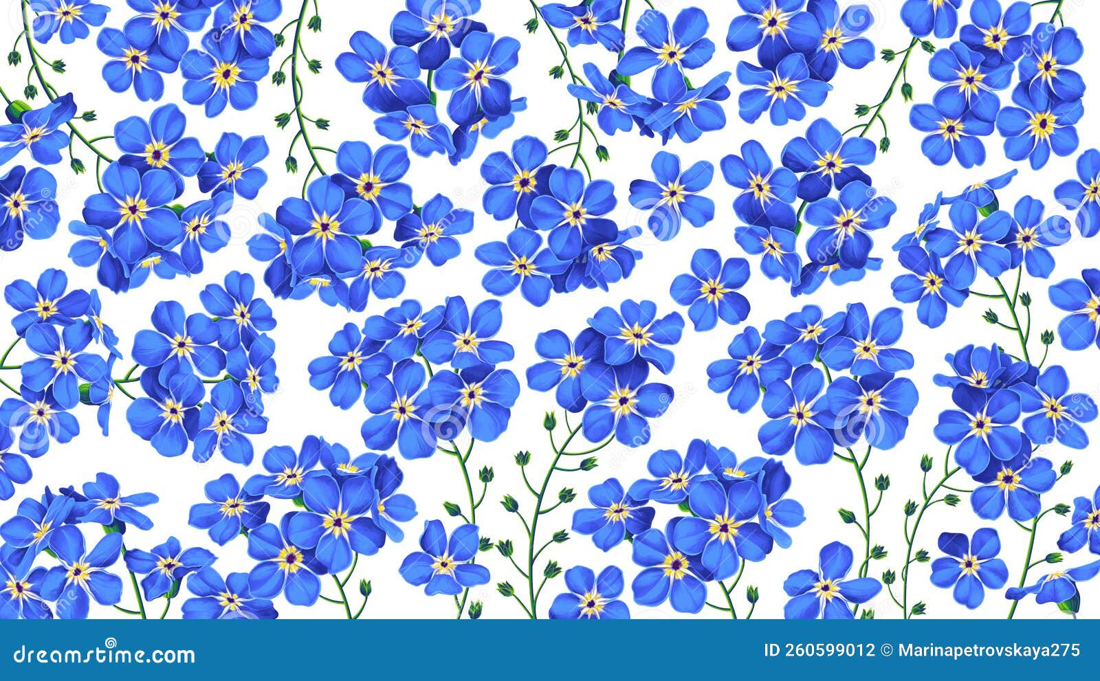 Horizontal Vector Botanical Background with Blue Flowers Forget Me Not ...