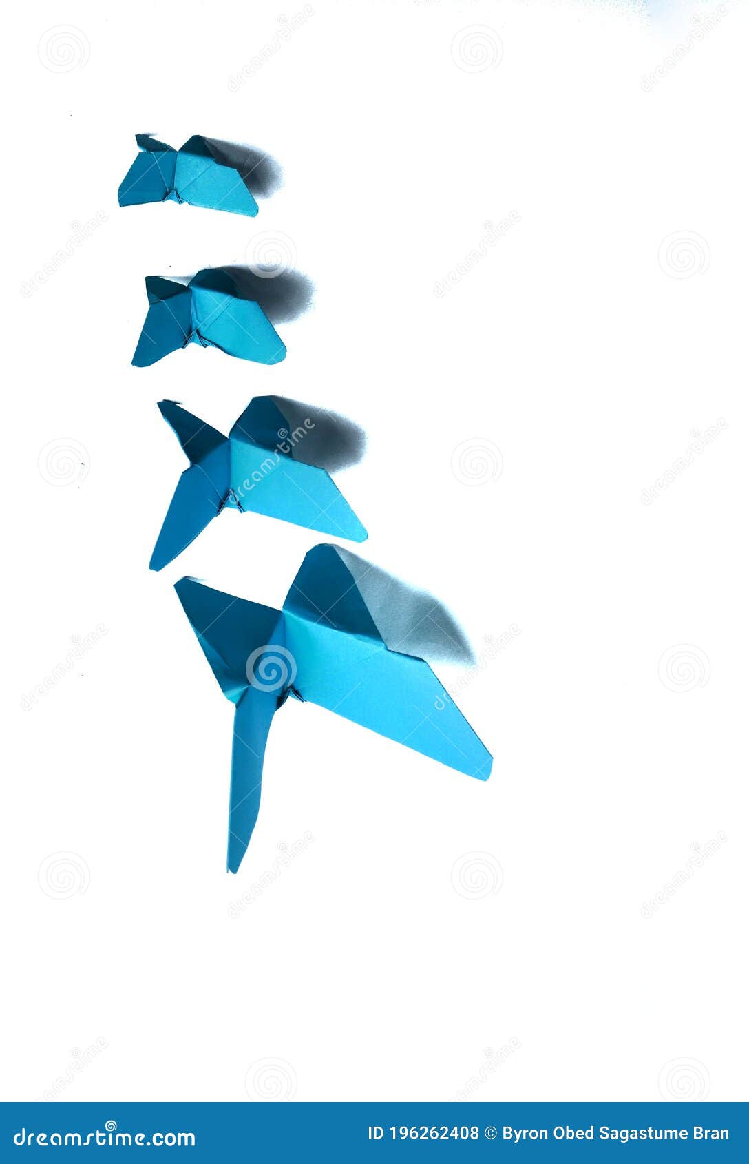 Blue Paper Butterflies on White Background. Decorative Concept Stock ...